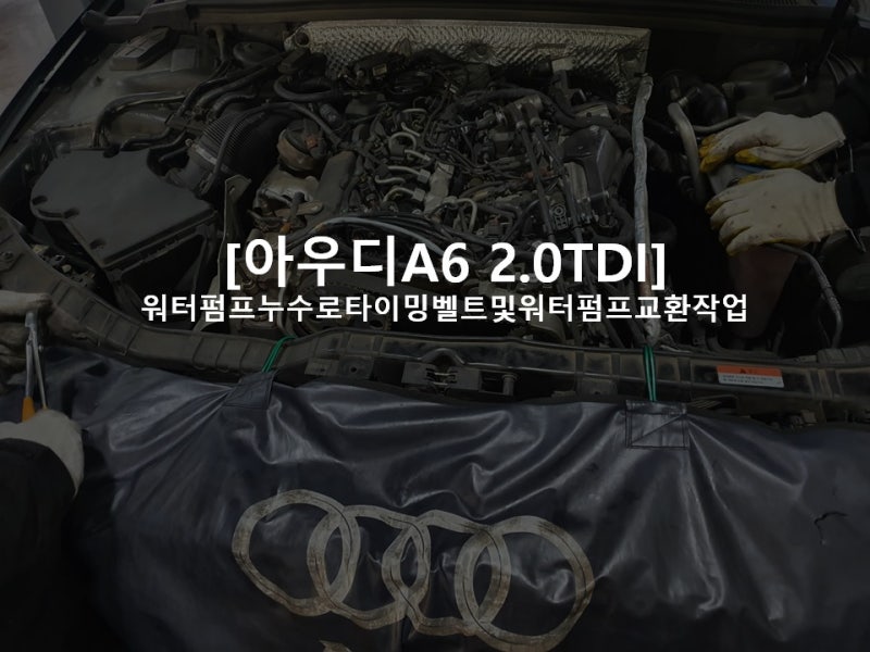 구리시 하남시 송파구 강동구 위례 미사강변 카센터 아우디a6 20디젤 워터펌프누수로 타이밍벨트워터펌프교환작업 네이버 블로그