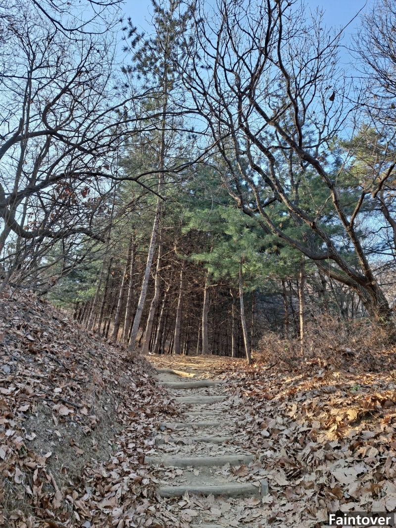 서울 근교 산행 구룡산 대모산 등산 코스 및 탐방기 네이버 블로그
