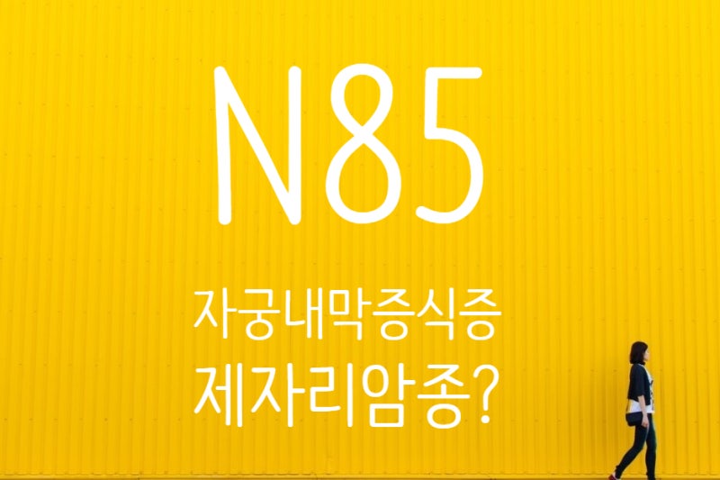 N851 자궁내막 증식증 선종성endometrial Adenomatous Hyperplasia 제자리암 진단비 네이버 블로그