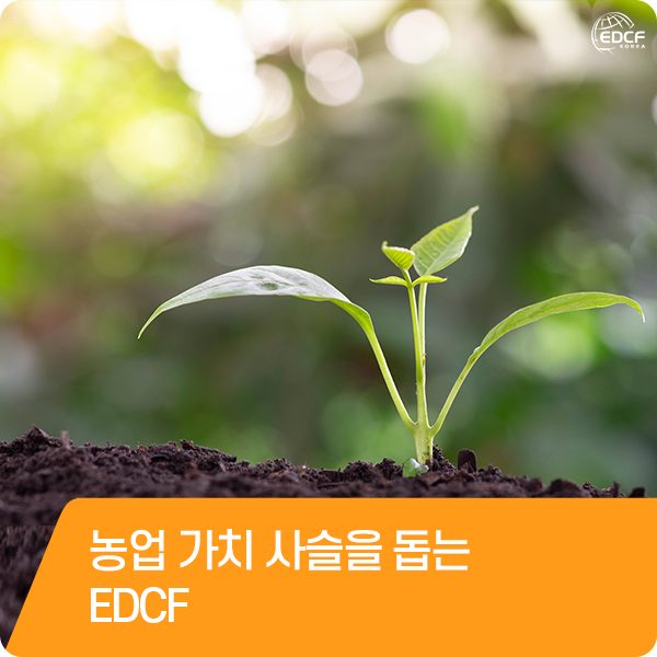 농업 가치 사슬을 돕는 EDCF : 네이버 블로그