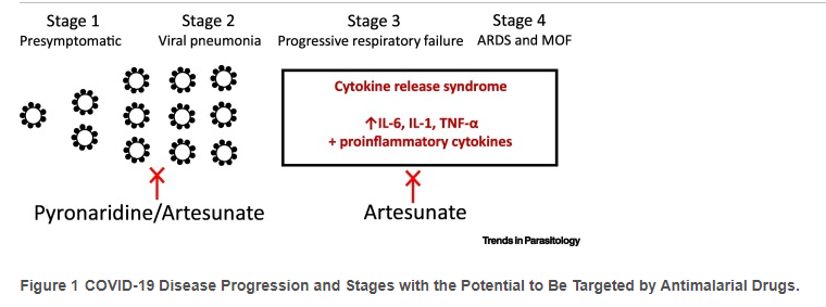 [Pyramax 논문] Repurposing Antimalarials to Tackle the COVID-19 Pandemic ...
