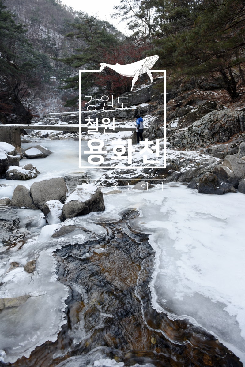 [철원 용화천] 산골 깊은 계곡엔 아이의 겨울 따위는 없었다, 철원여행, 철원 가볼만한 곳, 철원 가족 여행, 아이와 함께 철원 ...