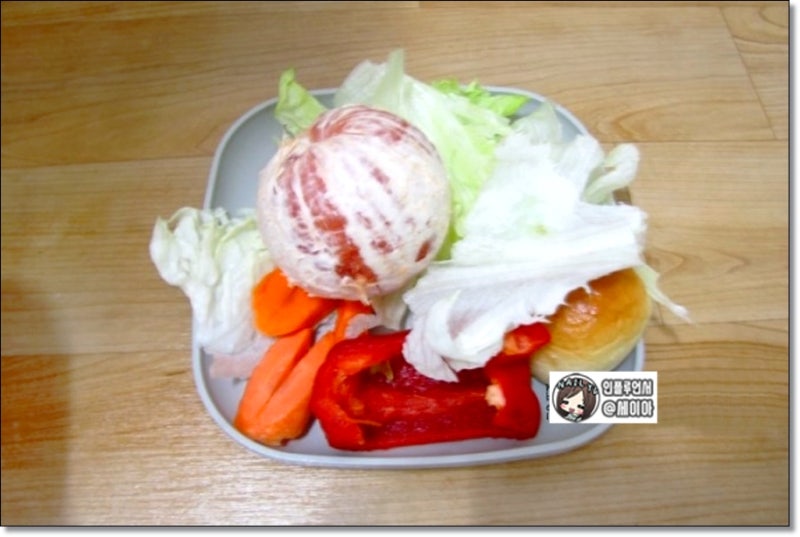 덴마크 다이어트 식단 2주 간의 후기와 식단표 네이버 블로그