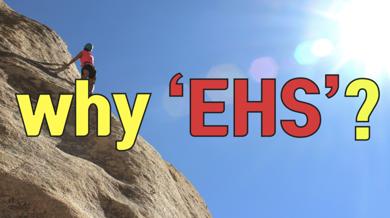 Why EHS ? : 네이버 블로그