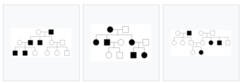 [Genetics(유전학) :: 기본용어 정리] Proband 란? : 네이버 블로그