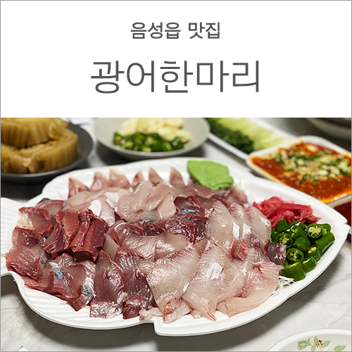 음성읍 맛집 음성 회 포장 전문 광어한마리 방어 네이버 블로그
