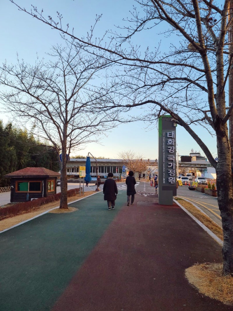 울산 태화강 국가정원 십리대숲 은하수길 데이트 코스 추천 네이버 블로그