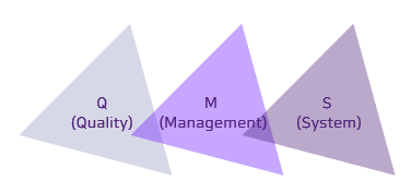 QMS(품질관리 시스템) : 네이버 블로그