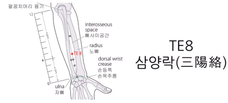 뉴혈처) 신간 코로나미스터리 , 삼양락(TE8) 사독(TE9) 위치 효능, 반하후박탕 임상활용 : 네이버 블로그