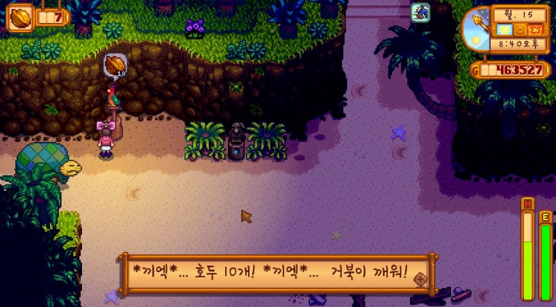 스타듀밸리 진저섬 공략feat불섬 서쪽섬 호두 얻는 방법 네이버 블로그