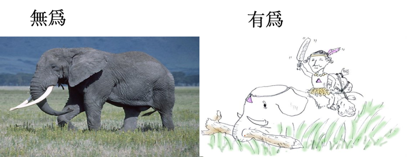 무위자연의 윤리 도가사상노자 장자 도가사상의 영향 네이버 블로그
