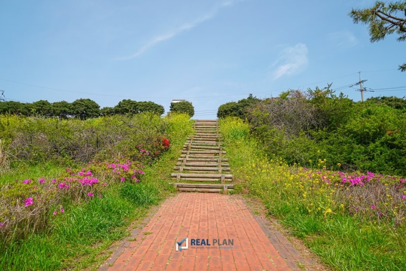제주도 가볼만한 곳 봄꽃 나들이 대왕수천예래생태공원 네이버 블로그