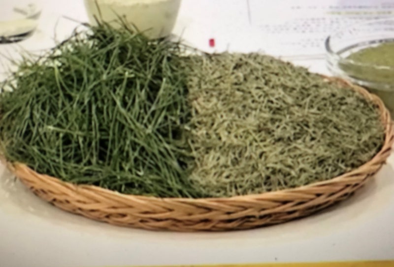 솔잎효능 제대로 알기 솔잎효소 솔잎주 솔잎차 만드는법 네이버 블로그