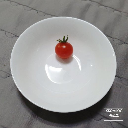 컵가든 방울토마토 키우기 총정리편 씨드볼부터 열매까지 성장과정 부제 두번째 열매 네이버 블로그
