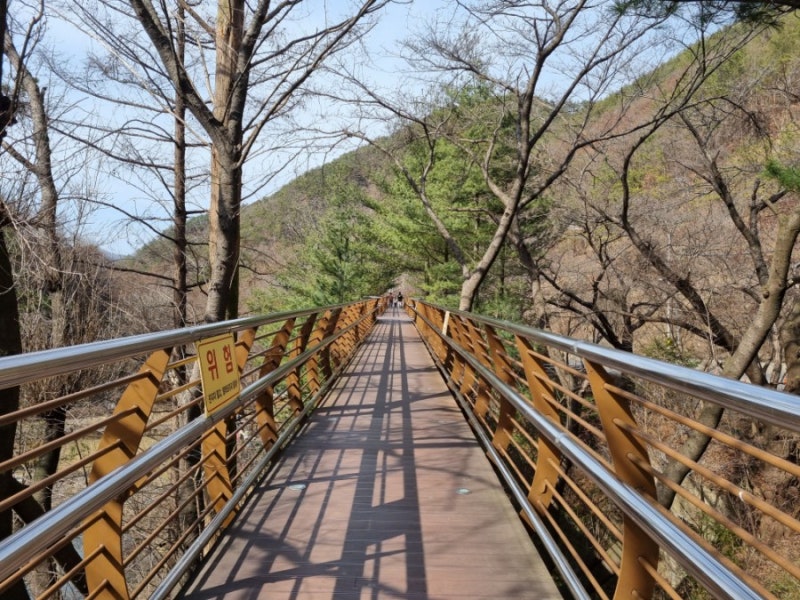 만인산 자연휴양림 산책하기 좋은곳 네이버 블로그