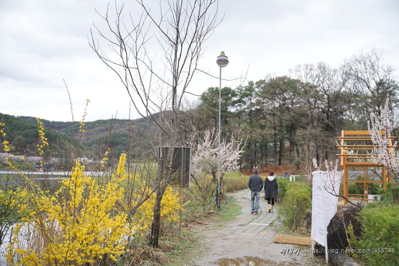 안성 금광호수 박두진 둘레길 산책 금광저수지 박두진 문학길 네이버 블로그