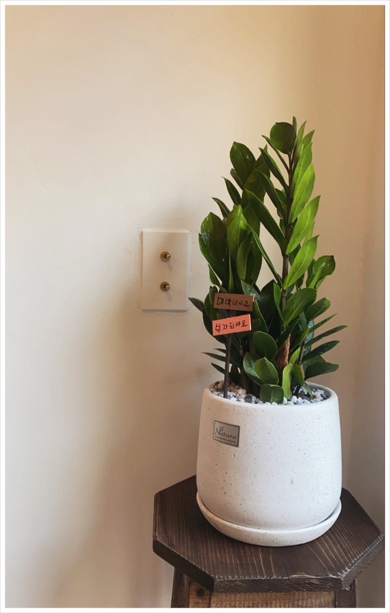 역촌동카페│분위기좋은카페│새시로│sesiro│커피맛있는집│친절하고이쁜사장님 : 네이버 블로그