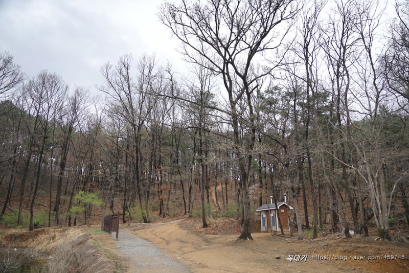 안성 금광호수 박두진 둘레길 산책 금광저수지 박두진 문학길 네이버 블로그