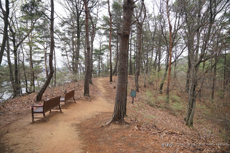 안성 금광호수 박두진 둘레길 산책 금광저수지 박두진 문학길 네이버 블로그