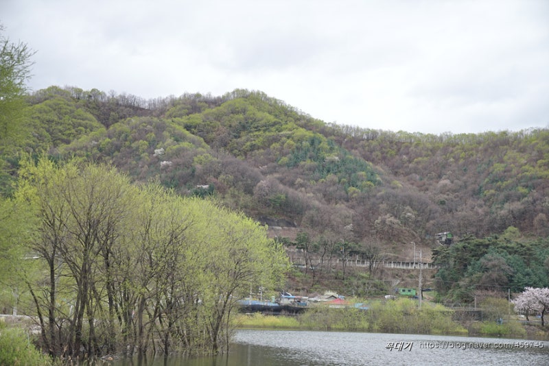 안성 금광호수 박두진 둘레길 산책 금광저수지 박두진 문학길 네이버 블로그