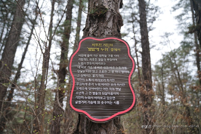 안성 금광호수 박두진 둘레길 산책 금광저수지 박두진 문학길 네이버 블로그