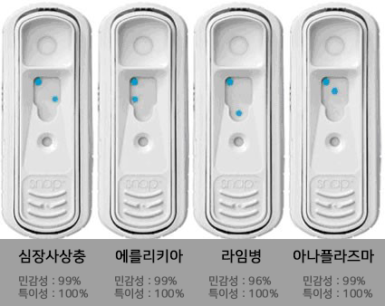 강아지 심장사상충 검사 SNAP 4DX 테스트 키트 보는 방법 : 네이버 블로그