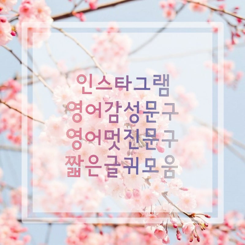 인스타그램 영어감성문구 영어멋진문구 짧은글귀모음 네이버 블로그