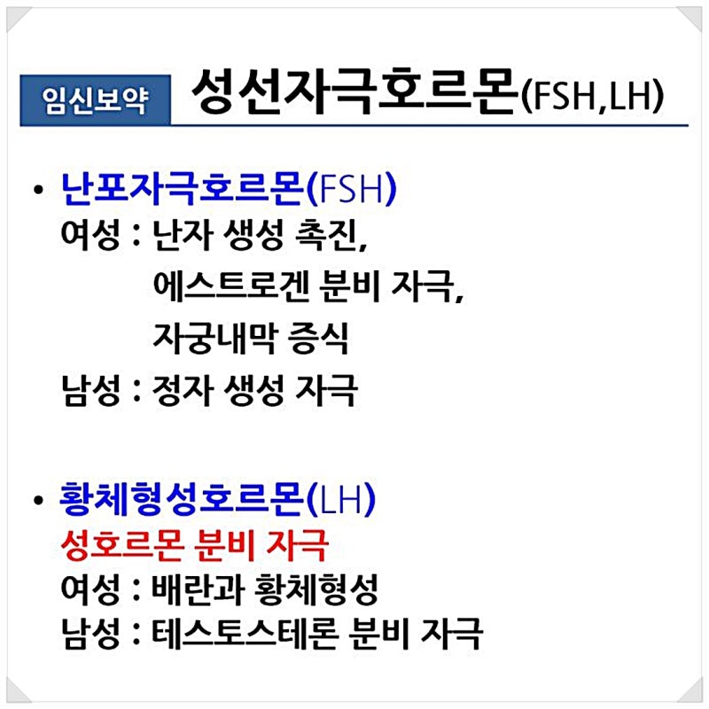 뇌하수체 호르몬과 임신 성장호르몬 프로락틴 Fsh 네이버 블로그