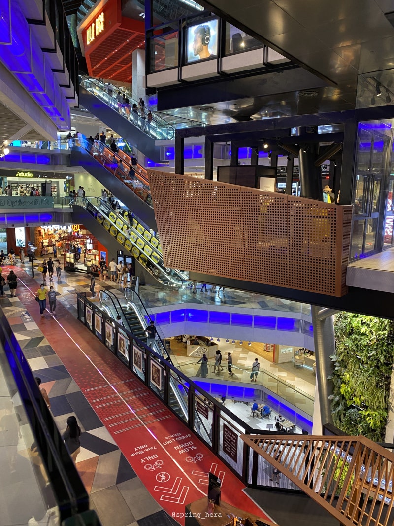 싱가포르 로컬 브랜드 Beyond The Vines, 짐백 & 데일리백 추천 : 네이버 블로그