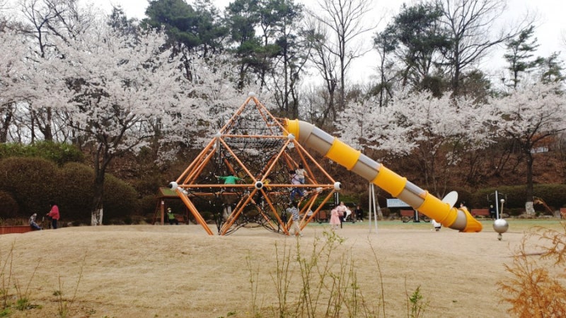고양근린공원 아이누리 놀이터 초등 아이들과 일산 근처에서 즐겁게 벚꽃구경해요 네이버 블로그