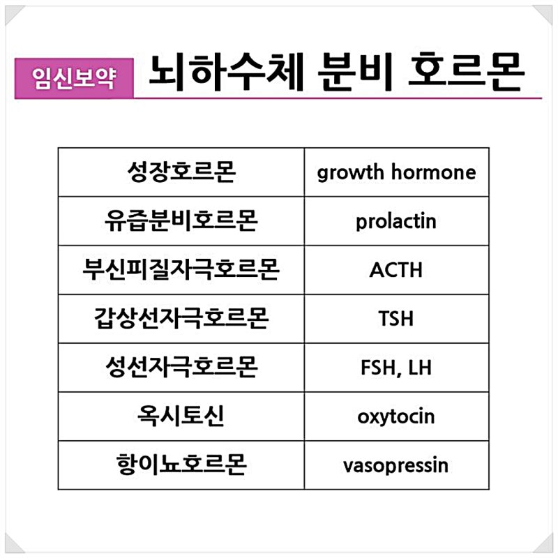 뇌하수체 호르몬과 임신 성장호르몬 프로락틴 Fsh 네이버 블로그