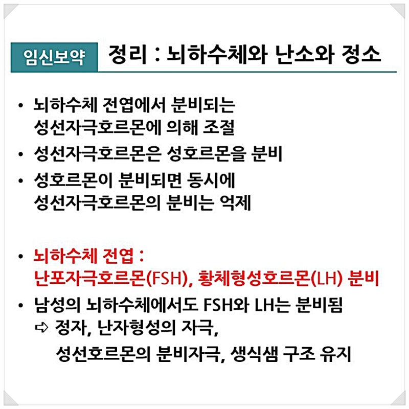 뇌하수체 호르몬과 임신 성장호르몬 프로락틴 Fsh 네이버 블로그