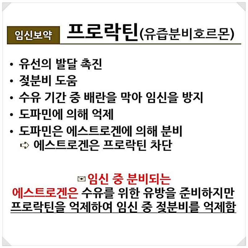 뇌하수체 호르몬과 임신 성장호르몬 프로락틴 Fsh 네이버 블로그