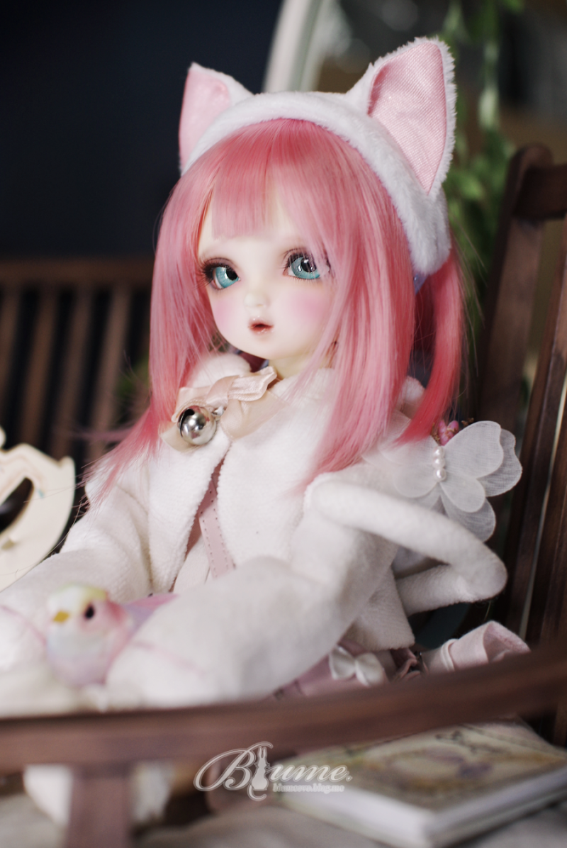 베로니카(Veronica cut) / Size : L, M, S, SS : 네이버 블로그