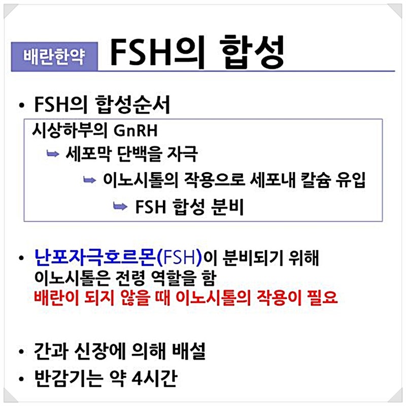 난포자극호르몬fsh와 임신 난소와 에스트로겐 네이버 블로그