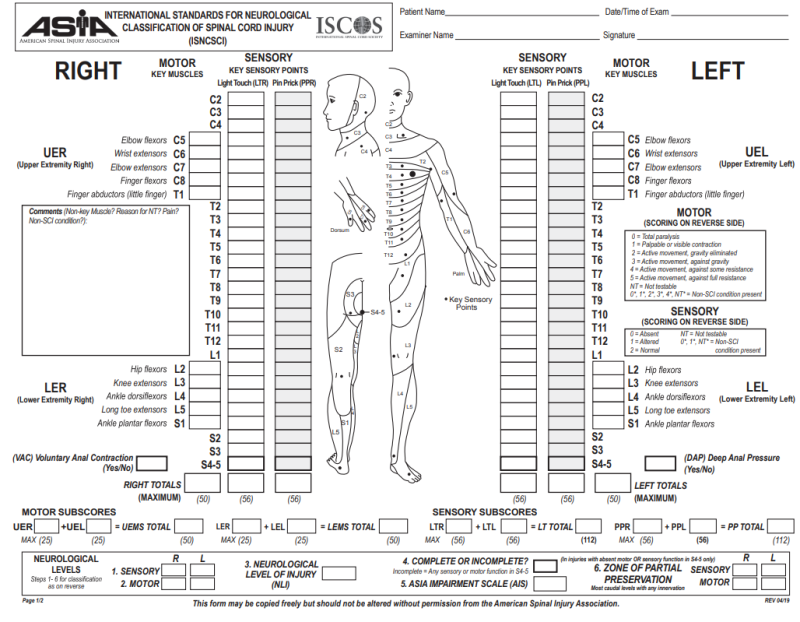 척수손상환자 분류, ASIA scale_(1) : 네이버 블로그