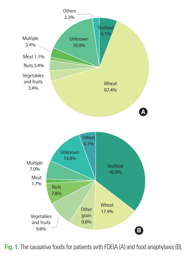 음식물 의존성 운동유발 아나필락시스 (FDEIA) : 네이버 블로그