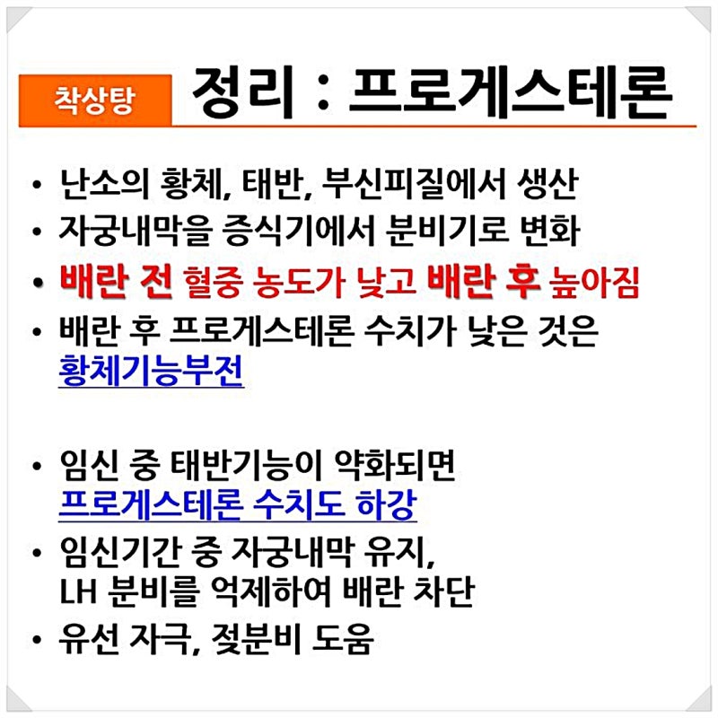 황체호르몬프로게스테론progesterone과 자궁 착상과 임신 네이버 블로그