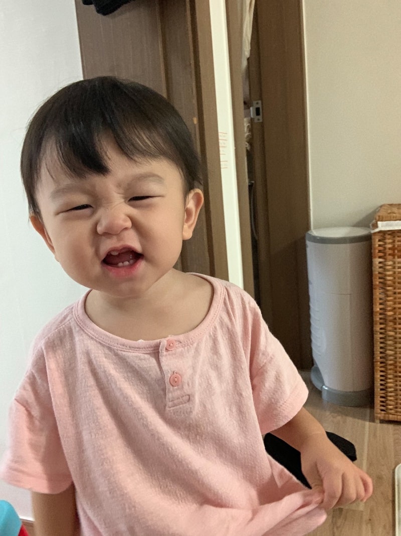 아기 이나는 순서 이앓이 증상 네이버 블로그