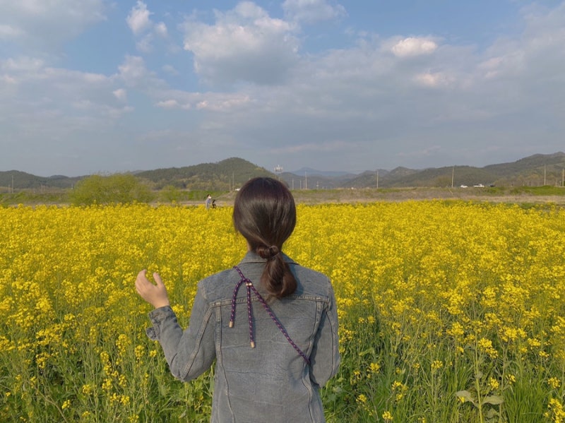 광주근교가볼만한곳 봄에는 유채꽃 남평 유채꽃 나주신상카페 카페마당 네이버 블로그