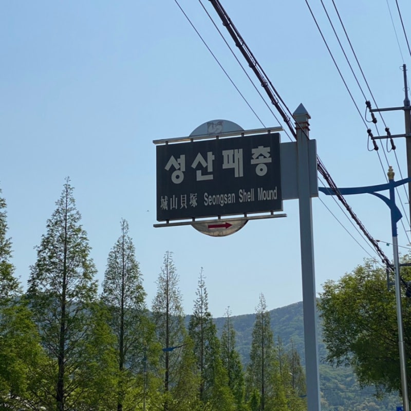창원 겹벚꽃이 예쁜 데이트 장소추천 성산패총 겹벚꽃이 예쁜 성산패총에서 꽃놀이하기 네이버 블로그