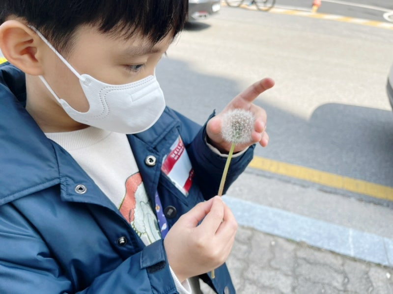 아바미스 나잘스프레이 네이버 블로그