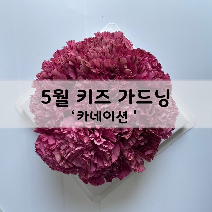 프롬숲 키즈가드닝 5월 행사 어버이날행사 어린이집어버이날 어버이날유치원 카네이션심기 키즈가드닝활동 어버이날
