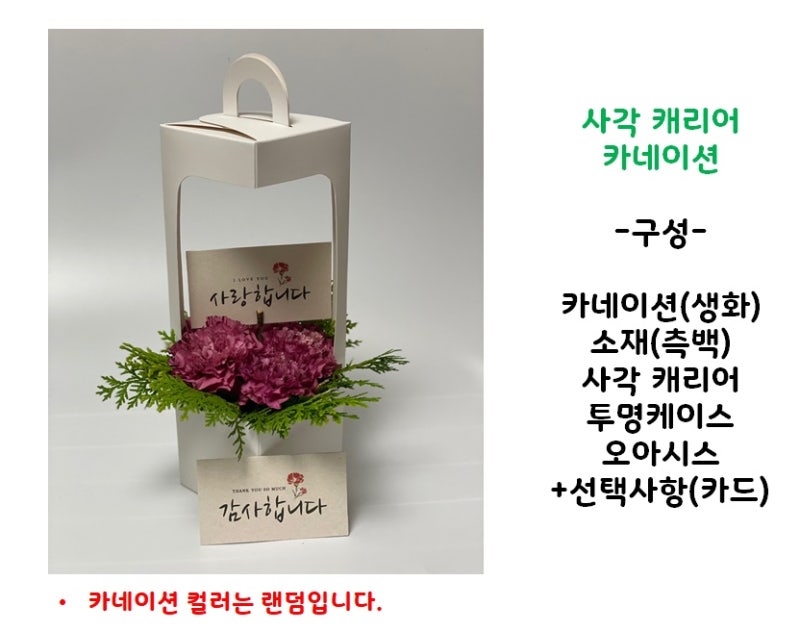 프롬숲 키즈가드닝 5월 행사 어버이날행사 어린이집어버이날 어버이날유치원 카네이션심기 키즈가드닝활동 어버이날