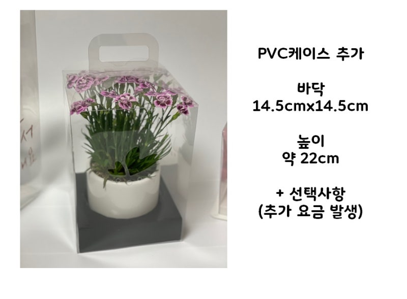 프롬숲 키즈가드닝 5월 행사 어버이날행사 어린이집어버이날 어버이날유치원 카네이션심기 키즈가드닝활동 어버이날
