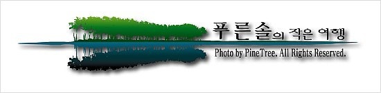 홍성 가볼만한곳 수선화 명소 거북이마을 네이버 블로그
