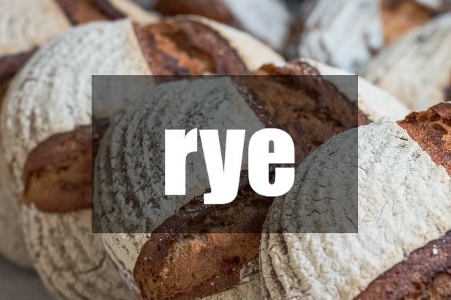 수요일 영단어-단어 rye와 wry를 비교해볼까요? : 네이버 블로그