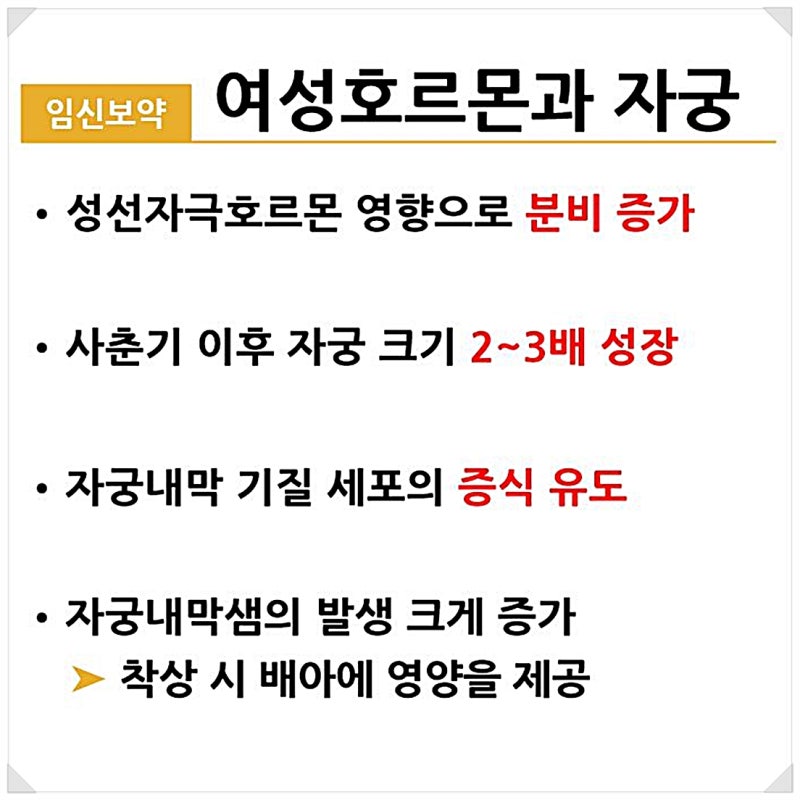 여성호르몬에스트로겐의 생리적 역할과 임신 네이버 블로그