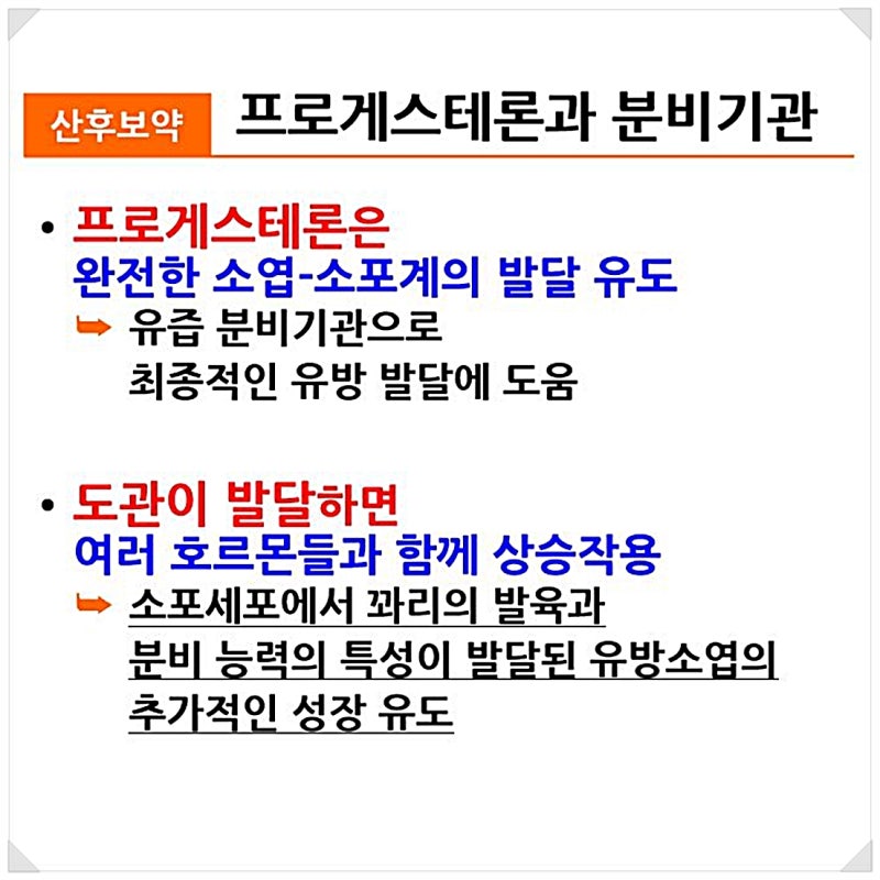 유즙분비호르몬프로락틴prolactin과 수유 네이버 블로그