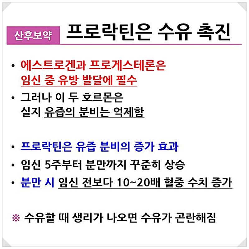 유즙분비호르몬프로락틴prolactin과 수유 네이버 블로그
